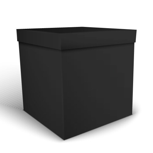 Blank black product package box Royalty Free Vector Image