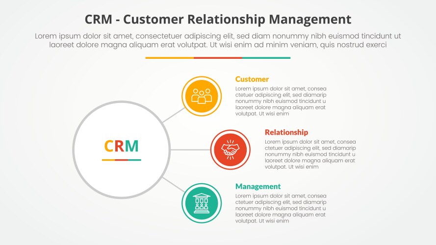 Crm customer relationship management infographic Vector Image