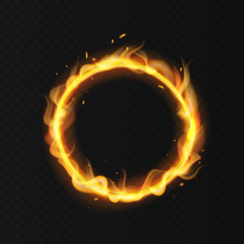 Ring fire flame burning different shapes frames Vector Image
