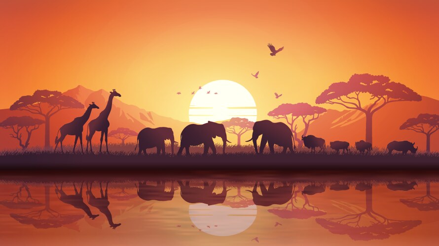 African Sunset Vector Images (over 2,900)