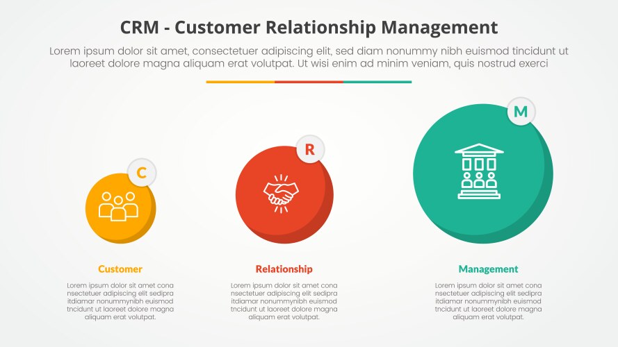 Crm customer relationship management infographic Vector Image
