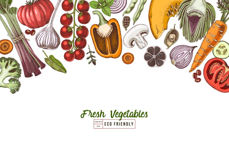 Hand drawn background with fresh vegetables Vector Image
