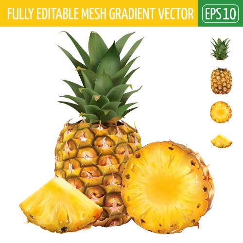 Pineapple Vector Images (over 56,000)