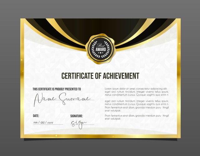 Professional certificate template diploma Vector Image