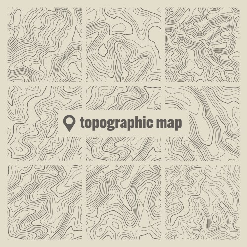 Topographic map with contour lines geographic Vector Image