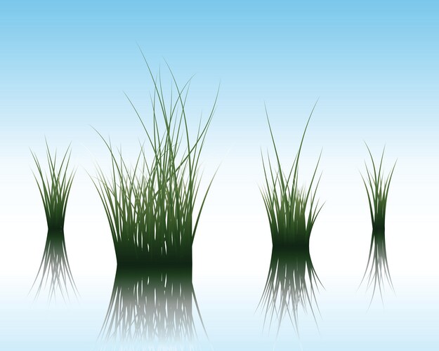Different scenes with green grass Royalty Free Vector Image