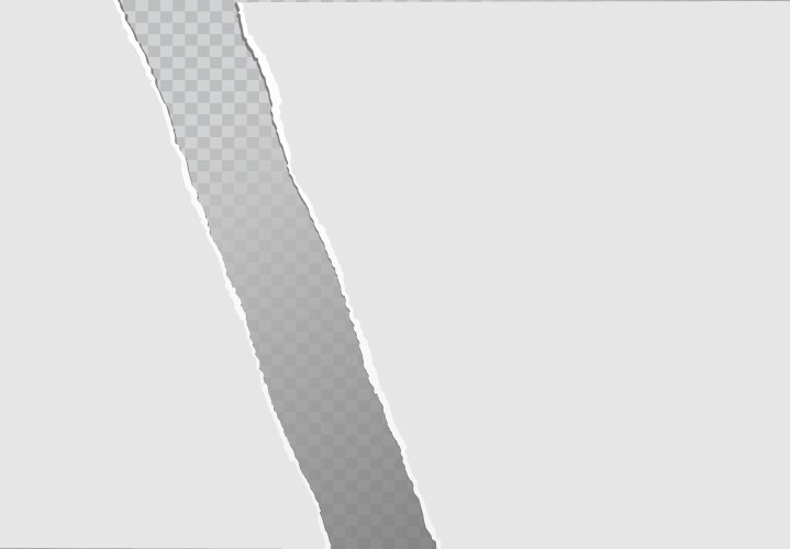 Ripped Paper Png Vector Images (over 340)