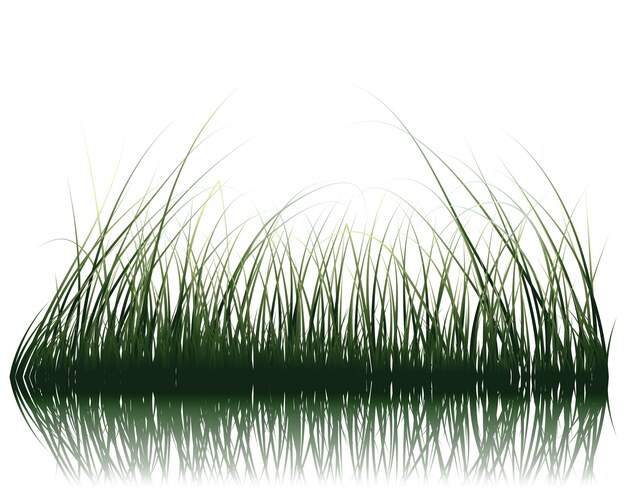 Grass on water Royalty Free Vector Image - VectorStock