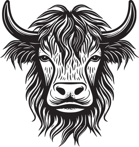 Highland cow Royalty Free Vector Image - VectorStock