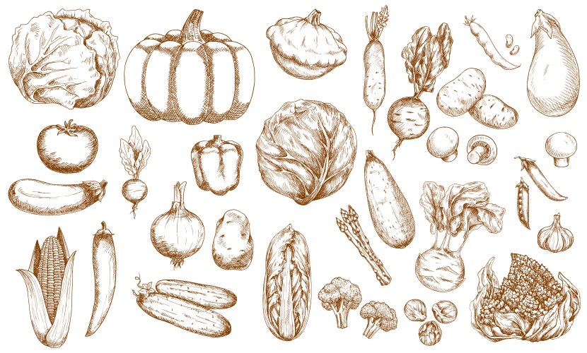 Vegetable Farm Vector Images (over 110,000)