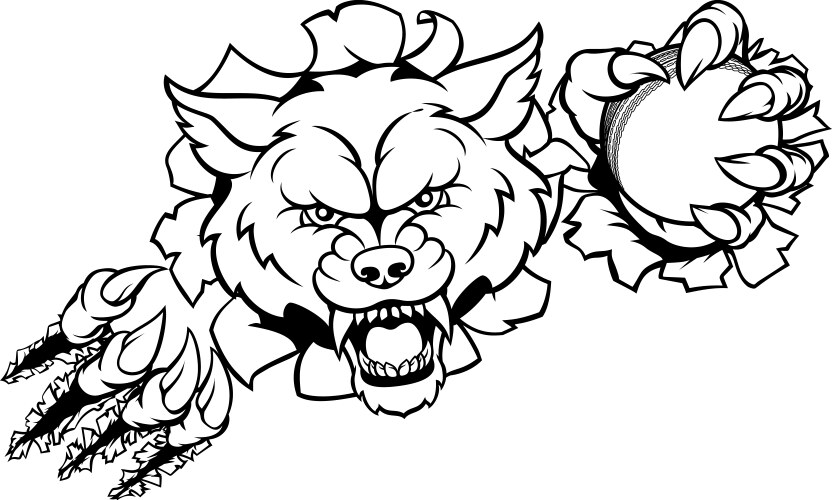 Cricket players action cartoon sport graphic Vector Image