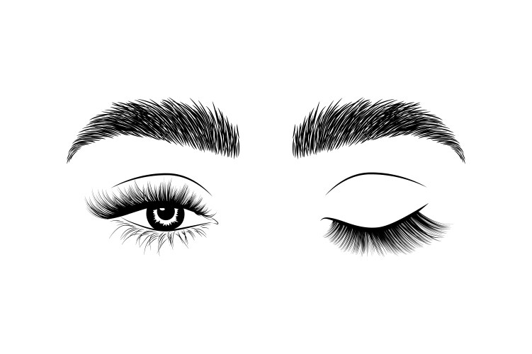 Powder brows aftercare instruction Royalty Free Vector Image