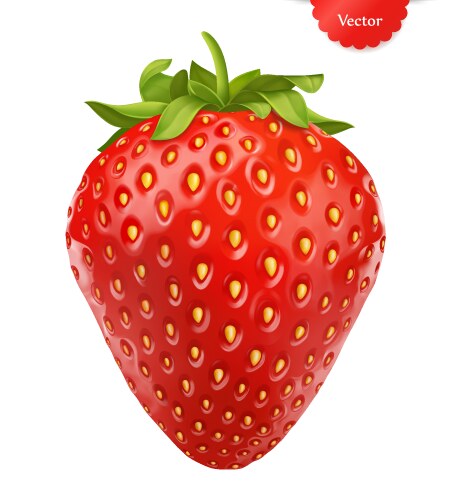 Strawberry fruit cartoon Royalty Free Vector Image