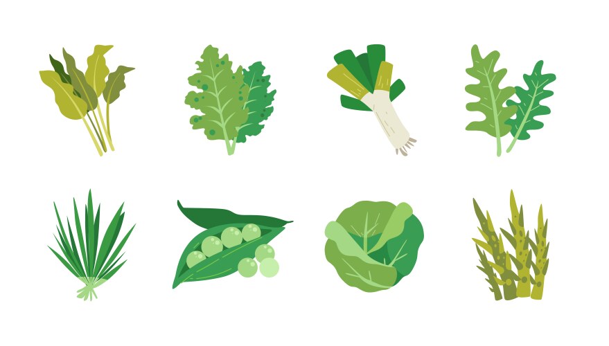 Leafy Vegetables Clipart Vector Images (over 220)