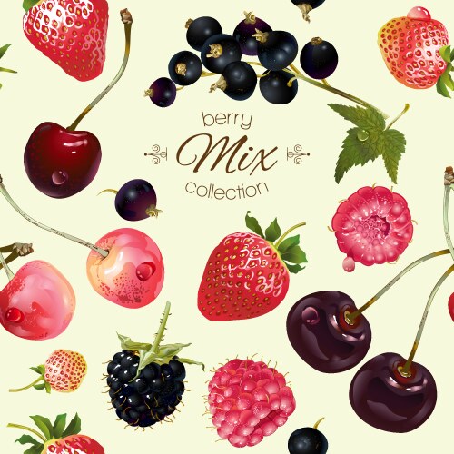 Berry mix falling banner Royalty Free Vector Image