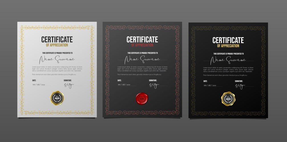 Professional certificate template diploma Vector Image