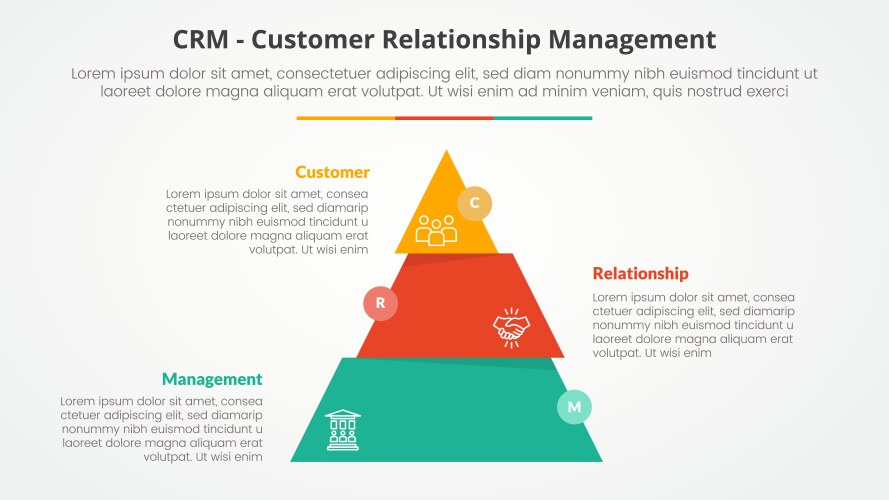 Crm customer relationship management infographic Vector Image
