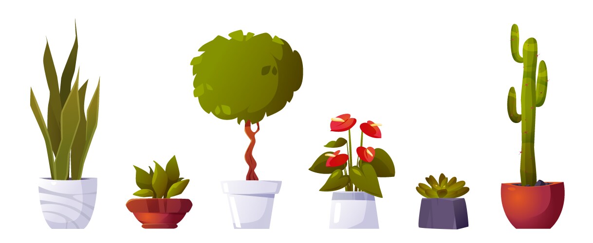 Potted flowers set isolated on white background Vector Image