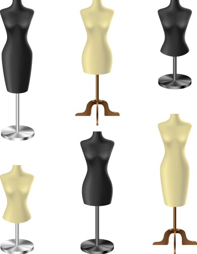 Mannequin Vector Images (over 19,000)