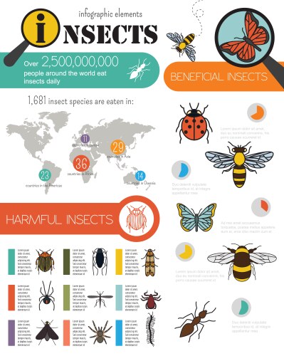 Insect Royalty Free Vector Image - VectorStock