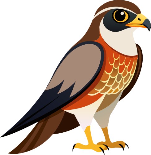 Sparrowhawk Vector Images (over 140)