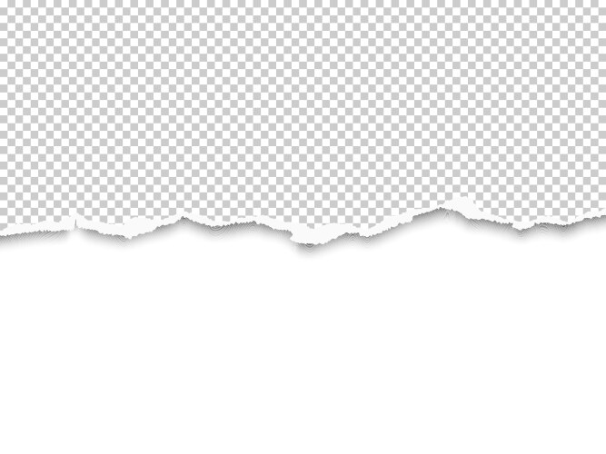 Torn a half sheet of white paper from the bottom Vector Image