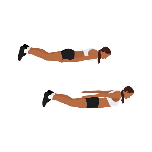 Back Exercise Vector Images (over 8,300)