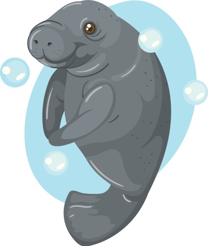 Cartoon sea cow front view Royalty Free Vector Image