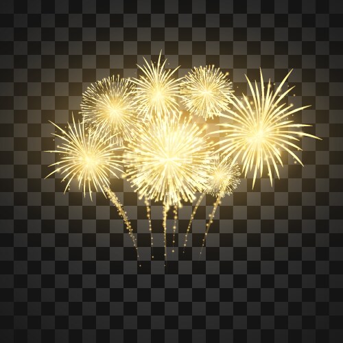Festival firework colorful carnival fireworks Vector Image