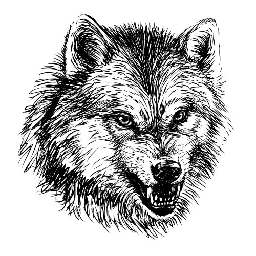 Wolf Outline Vector Images (over 6,900)
