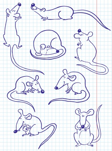 Rat Outline Vector Images (over 5,900)