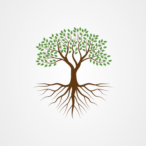 Tree of life logo Royalty Free Vector Image - VectorStock