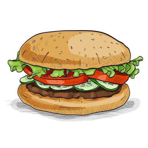 Sandwich color picture Royalty Free Vector Image
