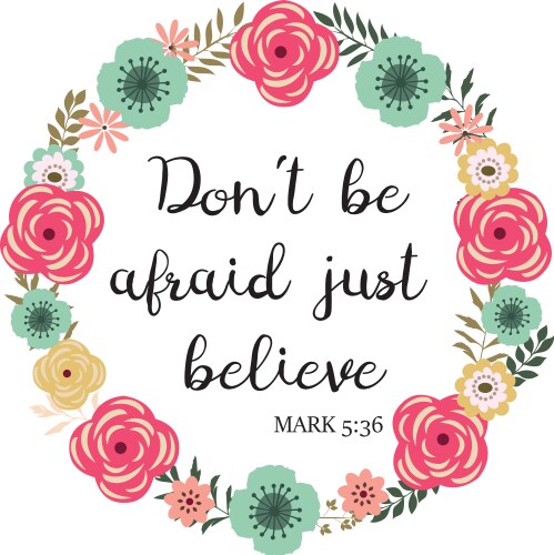 Just Vector Images (over 18,000)