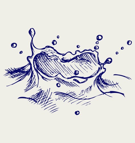 Water drops Royalty Free Vector Image - VectorStock