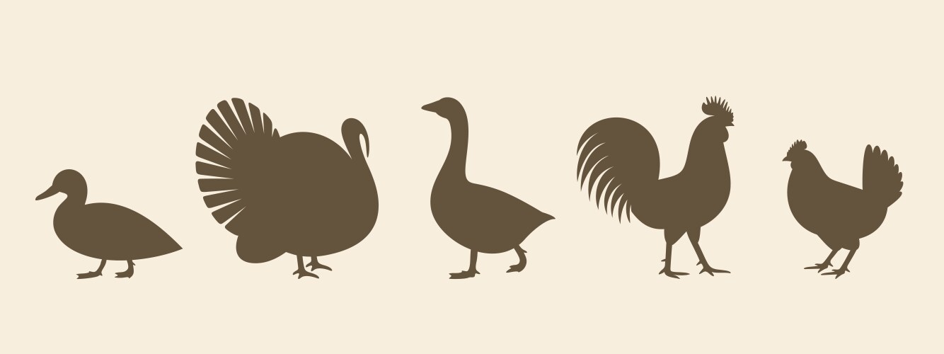 Poultry Vector Images (over 61,000)