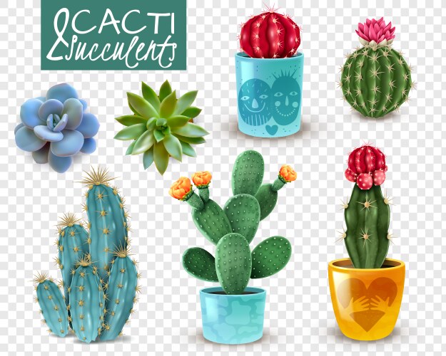 Succulent Vector Images (over 48,000)