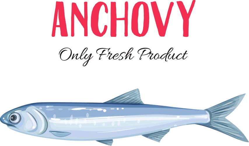 Salmon fish package mockup set realistic Vector Image