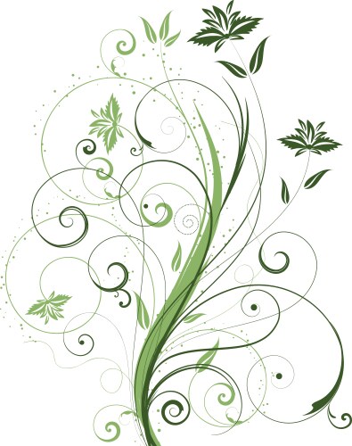 Floral scroll Royalty Free Vector Image - VectorStock