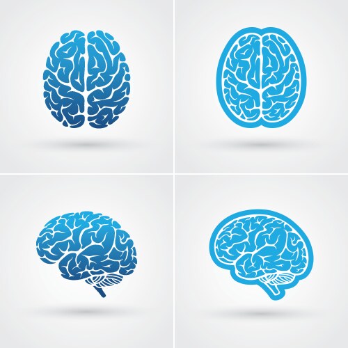 Brain Vector Images (over 260,000)