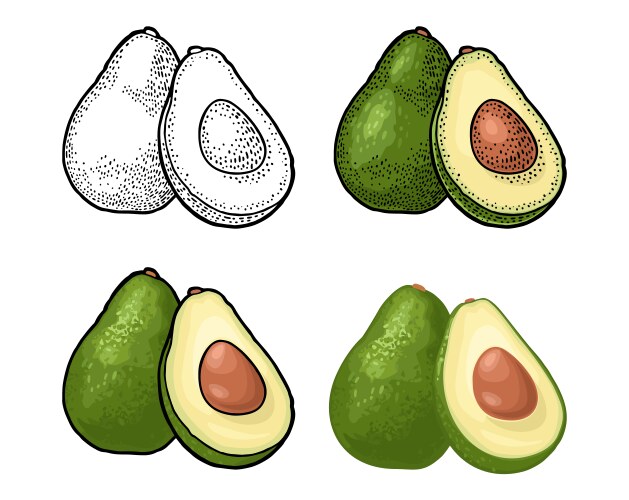 Hand drawn avocado half Royalty Free Vector Image