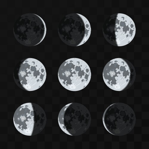 Lunar Phase Cycles Royalty Free Vector Image - VectorStock
