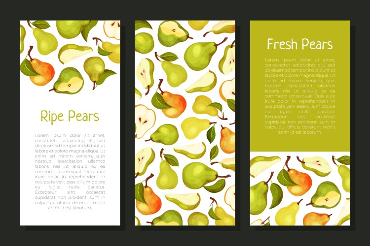 Quince fruit banner design with ripe crop Vector Image