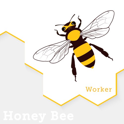 Cartoon queen bee character Royalty Free Vector Image Cartoon queen bee character Royalty Free Vector Image