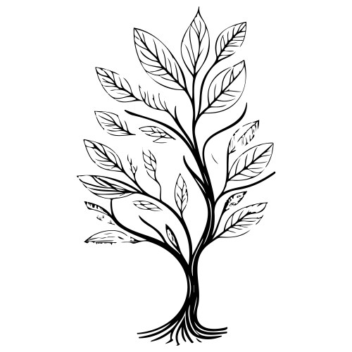 Tree half spring autumn floral sketch draw Vector Image