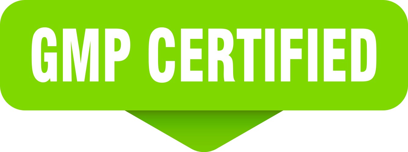 Gmp certified sticker sign Royalty Free Vector Image
