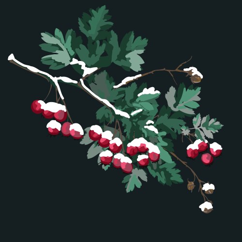 Hawthorn Vector Images (over 1,600)