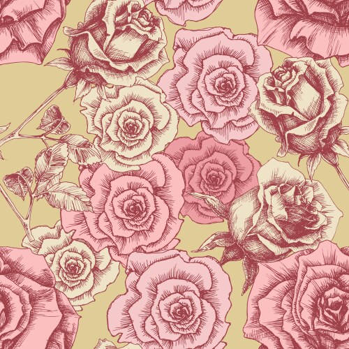 Vintage seamless pattern with pink roses Vector Image