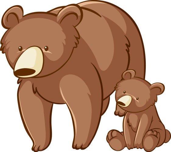 Cute bear cartoon Royalty Free Vector Image - VectorStock