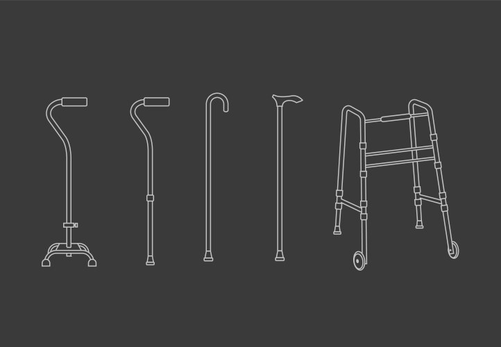 Walking Stick Vector Images (over 15,000)